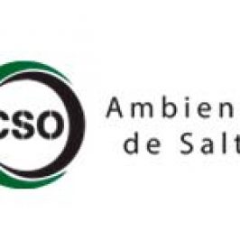 CSO Ambiental de Salto | Máquinas Faria